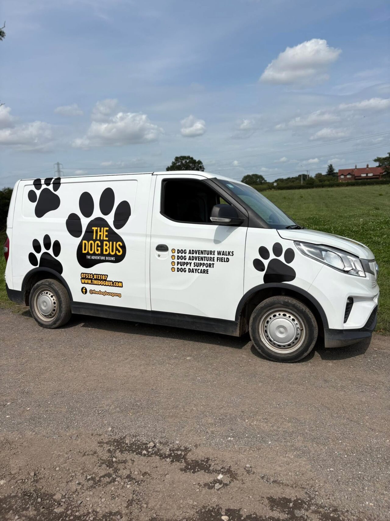 7 Reasons to Love the Dog Bus for Safe Adventures!